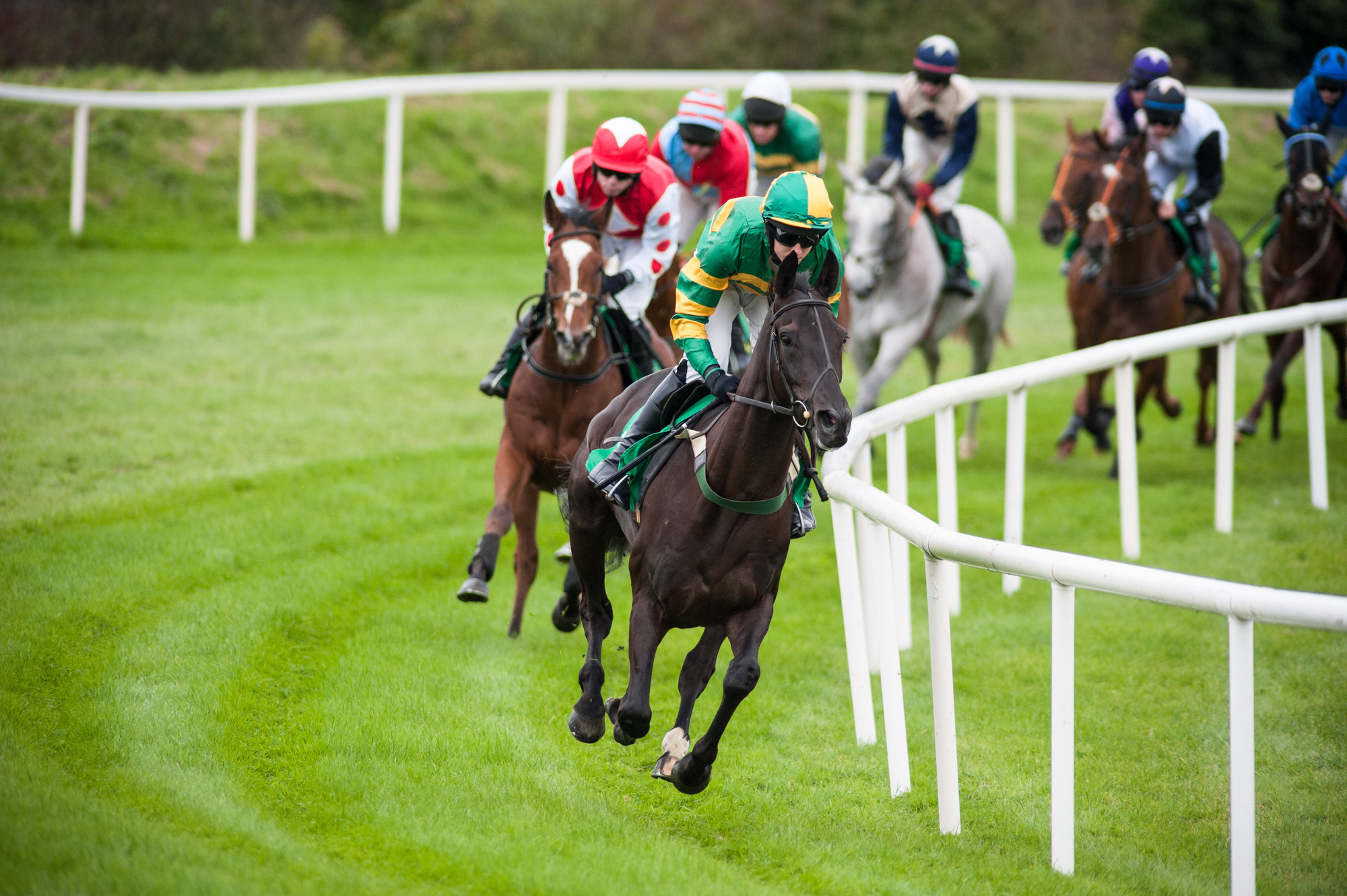 A Guide To Different Types Of Horse Races